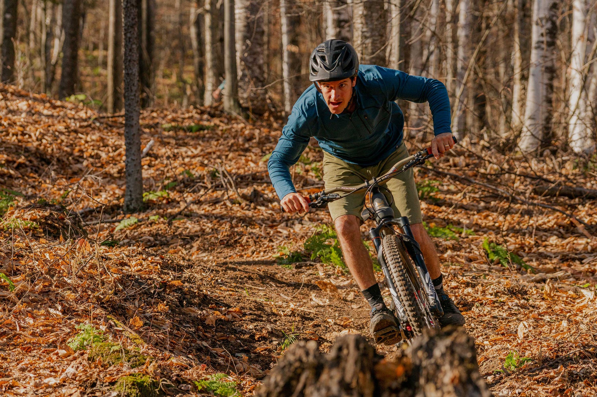 メリノウールについて - 通年使えるメリノ | ibex – ibex Japan